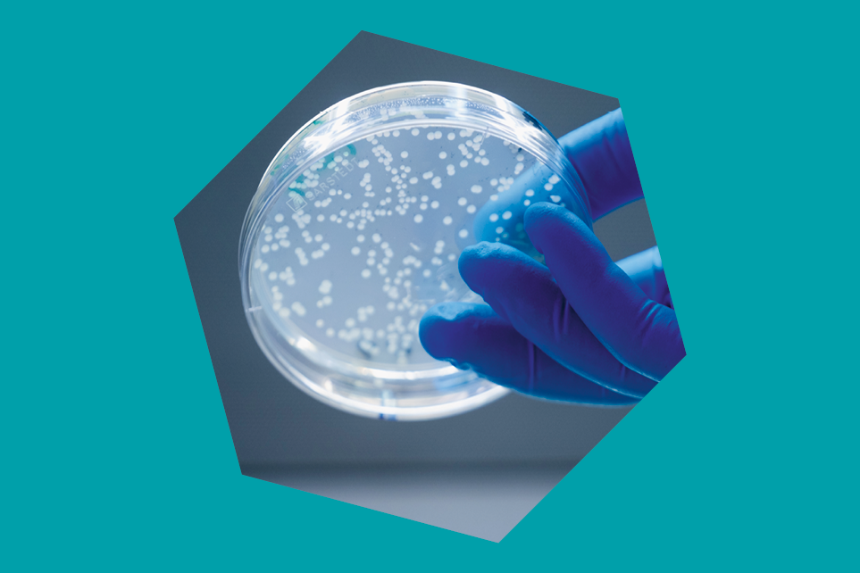 Startseite: BHT Berlin